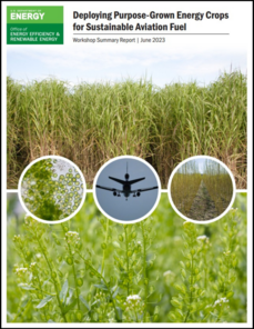 Workshop Report Now Available: Deploying Purpose-Grown Energy Crops for ...