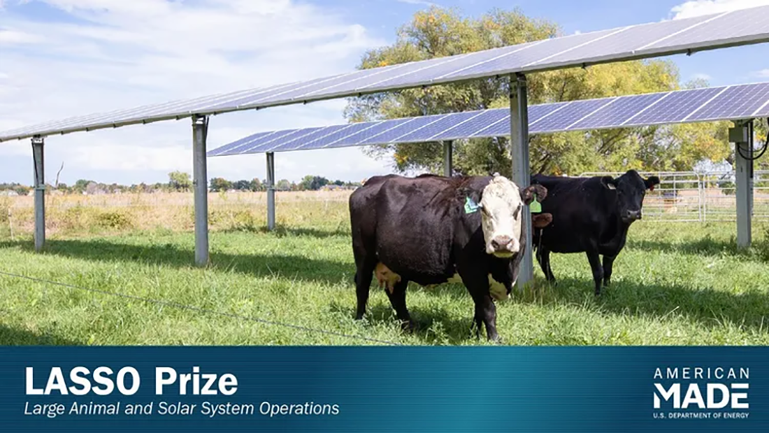 Weekly Jolt ⚡ Accessible Solar Energy, Cows, Algae, and More!