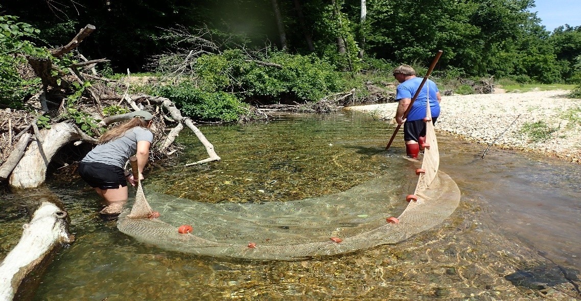 EPA Science Matters: Wadeable streams, lead, and more