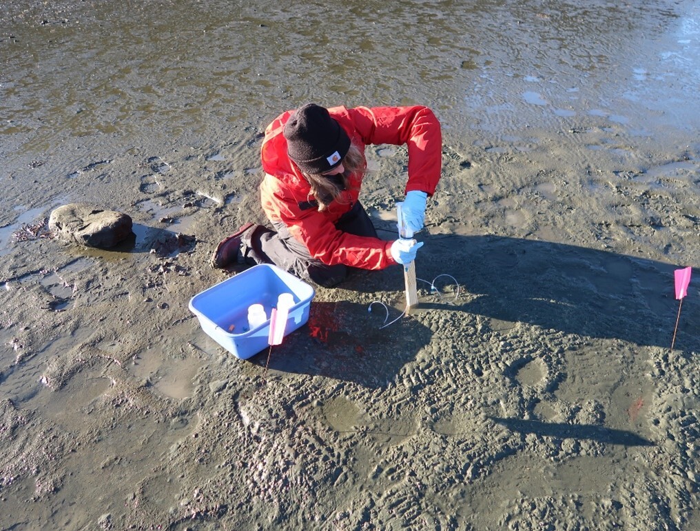 EPA Science Matters: Biochar, ecosystem restoration, and more