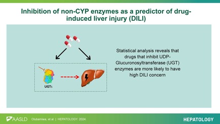 NCTR Research Highlights | NCTR Uncovers Drug Interaction with UGT ...