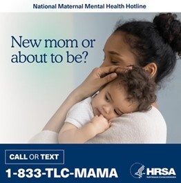 BPHC Program Updates Wrap-Up, Maternal Mental Health Resources