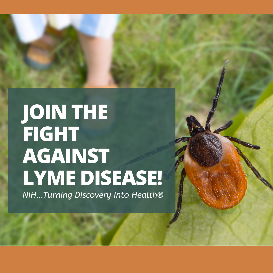 Join the fight against Lyme Disease!