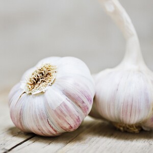 Garlic: Science and Safety