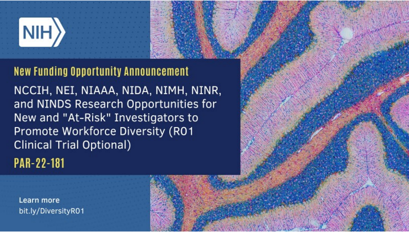 June 2023 Diversity Equity Inclusion Accessibility (DEIA) Announcements