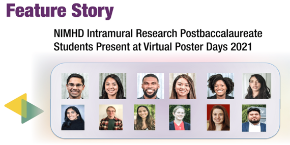 Look Back on the NIH Intramural Research Postbaccalaureate Virtual ...