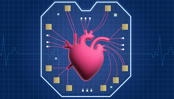 NIST's Heart-on-a-Chip: A Microfluidic Marvel Helping to Shape the ...