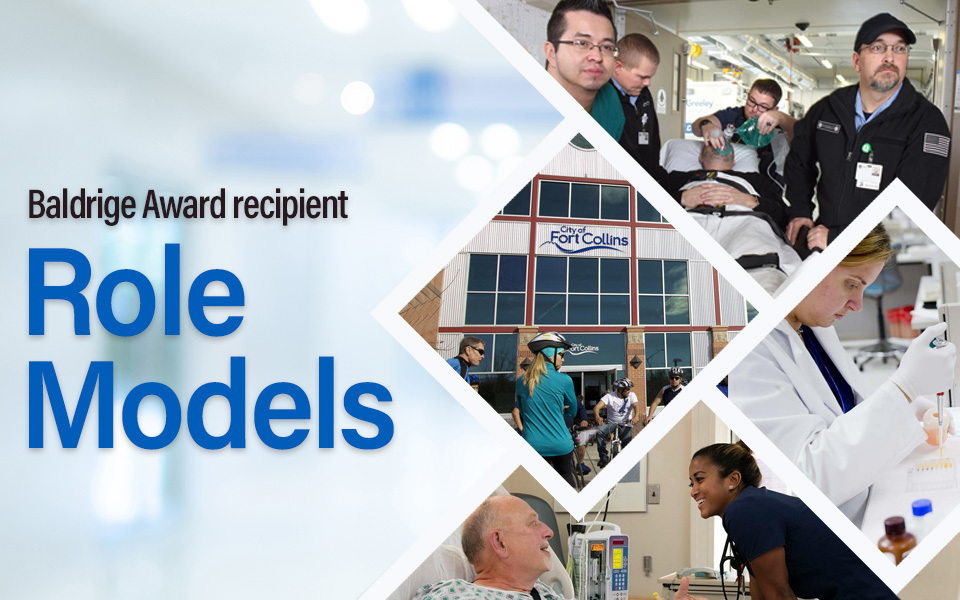 How Role Models Support Organizational Resilience