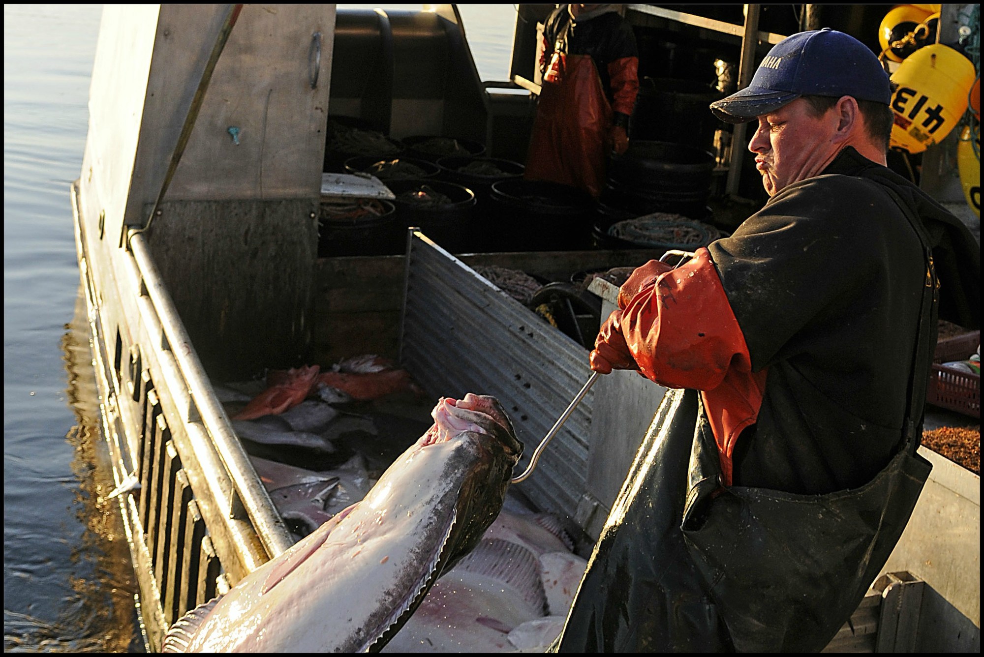 Inseason Adjustments to 2022 Pacific Coast Groundfish Commercial Fisheries