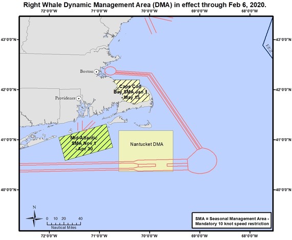 Vessel Speed Restriction Zone South of Nantucket to Protect Right Whales