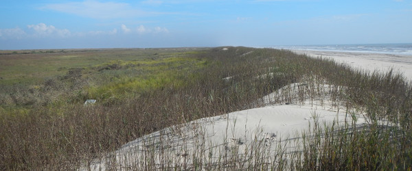 ICYMI: Work Begins on Texas’ McFaddin Beach and Dune Project
