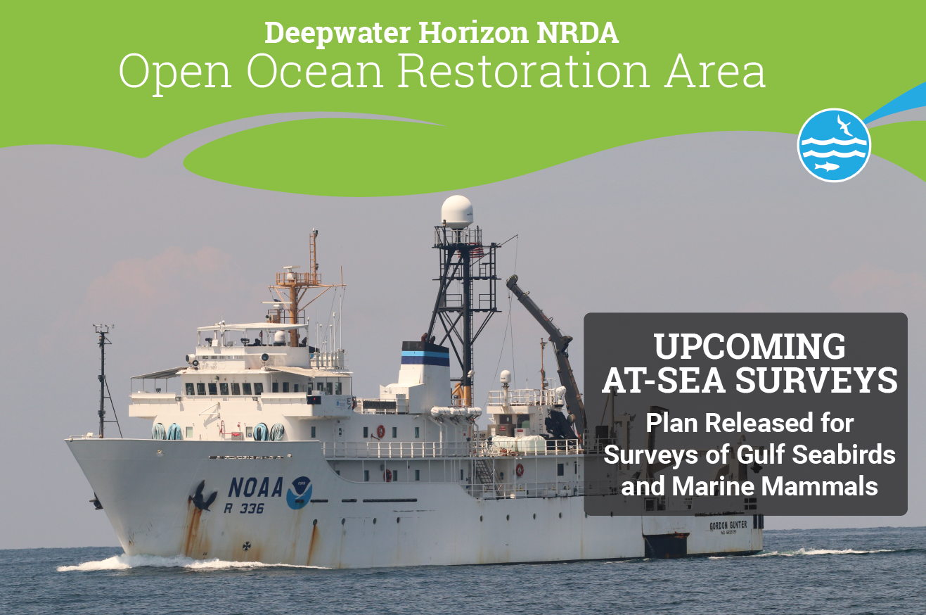 Open Ocean Trustees Release Plan for At-Sea Surveys of Gulf Seabirds ...