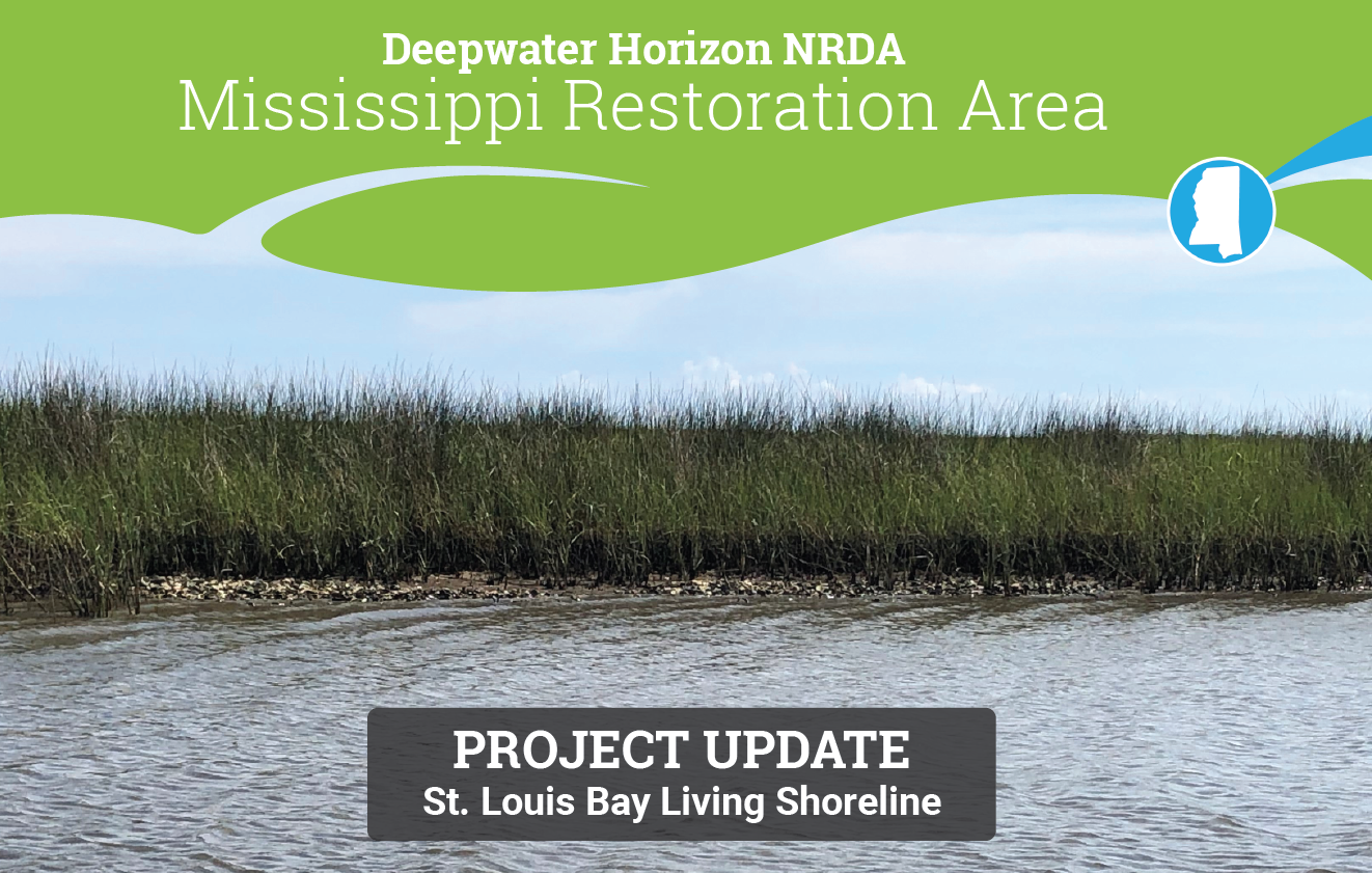 Mississippi Trustees to Proceed with Engineering and Design of St ...