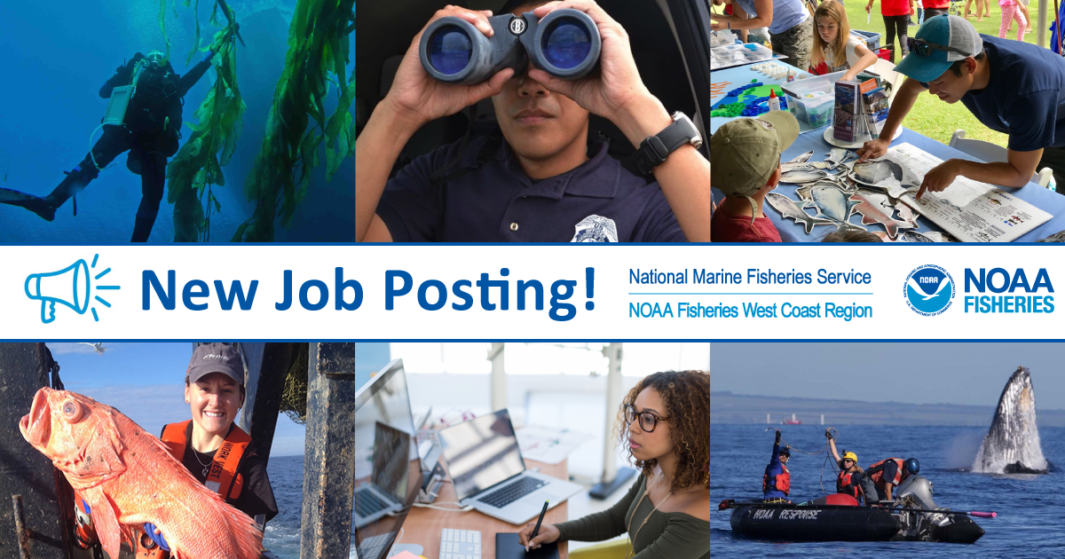 Hiring for Conservation Biology Division Director