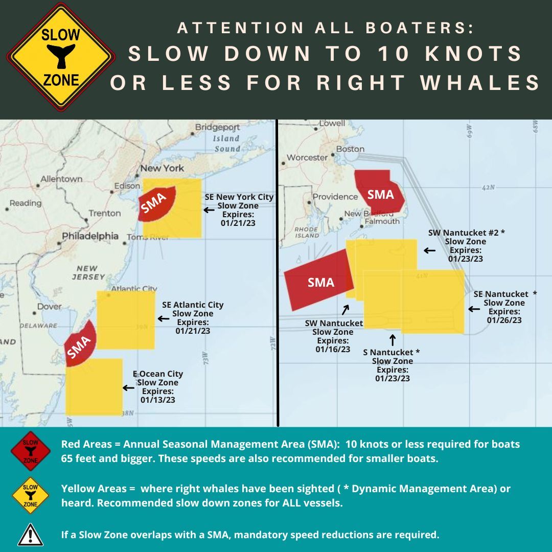 New Right Whale Slow Zone Southeast of Nantucket, MA - Effective ...