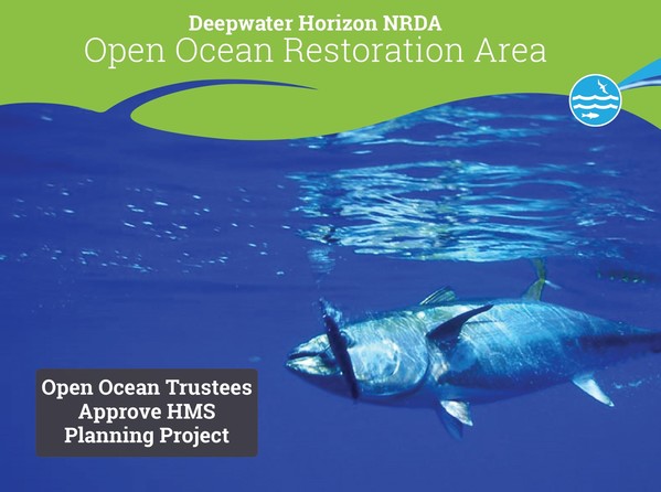 Open Ocean Trustees Approve Project to Support Restoration Planning for ...