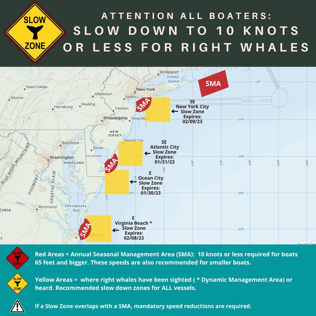 Extension of Right Whale Slow Zone Southeast of New York City, NY ...
