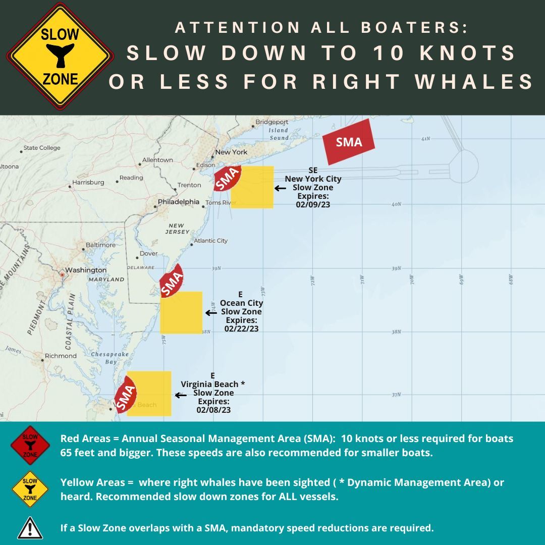 Extension of Right Whale Slow Zone East of Ocean City, MD - Effective ...