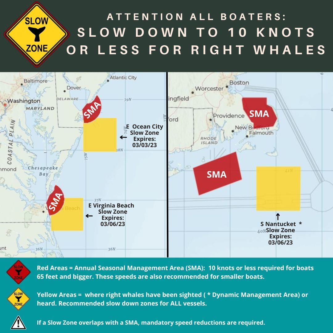 Extension of Two Right Whale Slow Zones: East of Virginia Beach, VA and ...