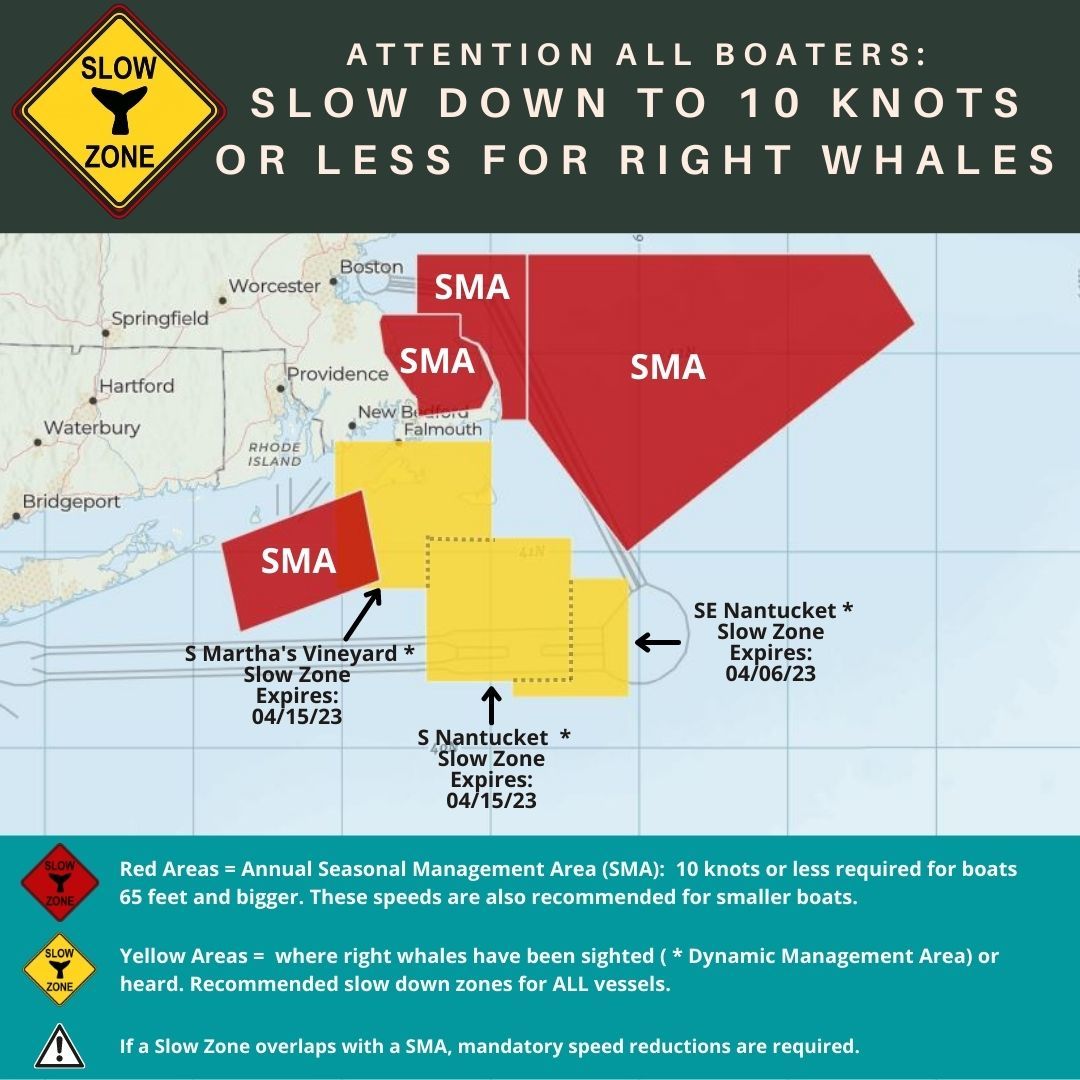 Extension of Two Right Whale Slow Zones S of Martha's Vineyard and S of ...