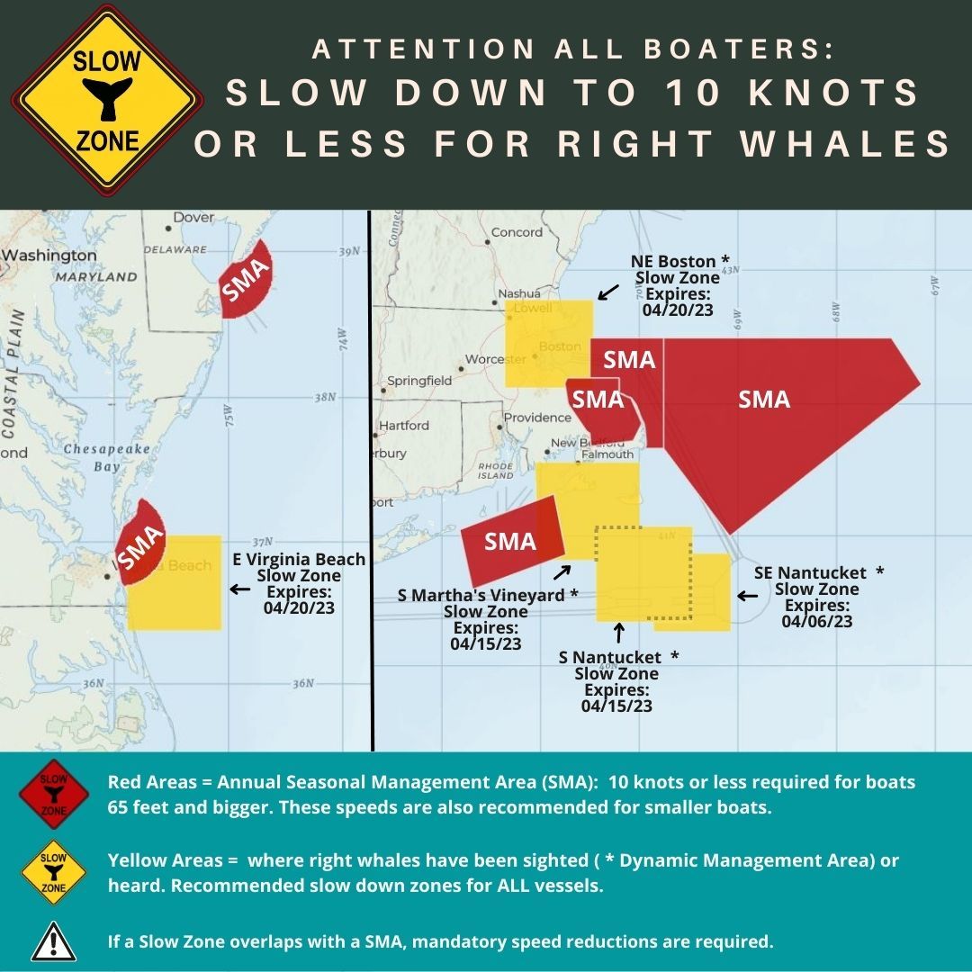 Two New Right Whale Slow Zones NE of Boston, MA and E of Virginia Beach ...