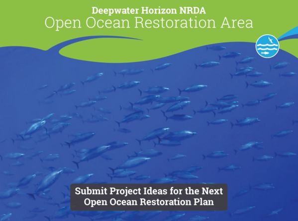 Reminder: Submit Your Ideas for Open Ocean Restoration Area Planning