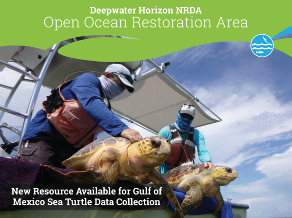 https://www.gulfspillrestoration.noaa.gov/2023/06/new-resource ...