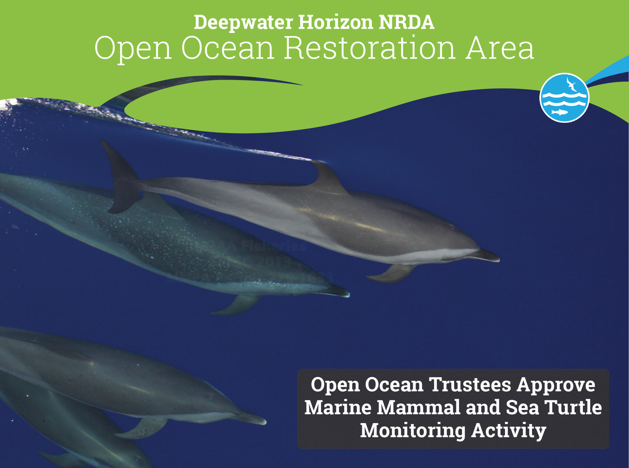 Monitoring and Adaptive Management Activity Approved to Evaluate Marine ...
