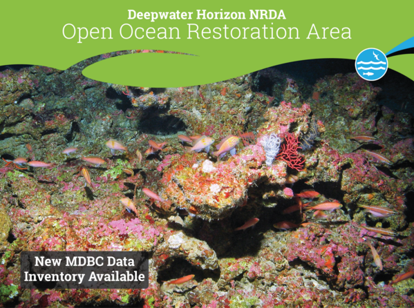 Inventory of Northern Gulf of Mexico Deep Seafloor Habitat Data and ...