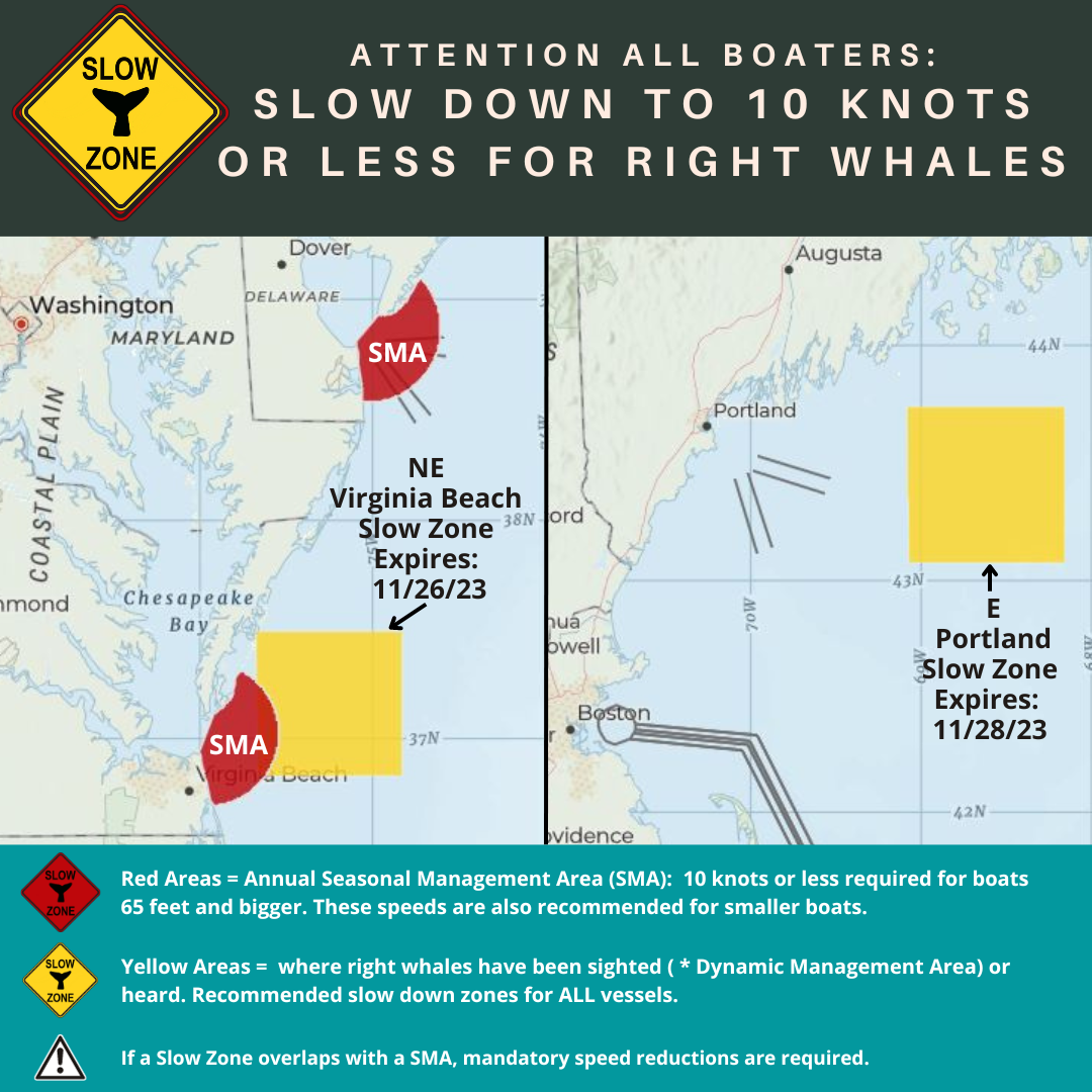 Two New Right Whale Slow Zones: E of Portland, ME, and NE of Virginia ...