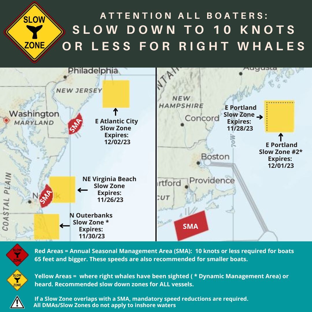*CORRECTION*New Right Whale Slow Zone: East of Atlantic City, NJ ...
