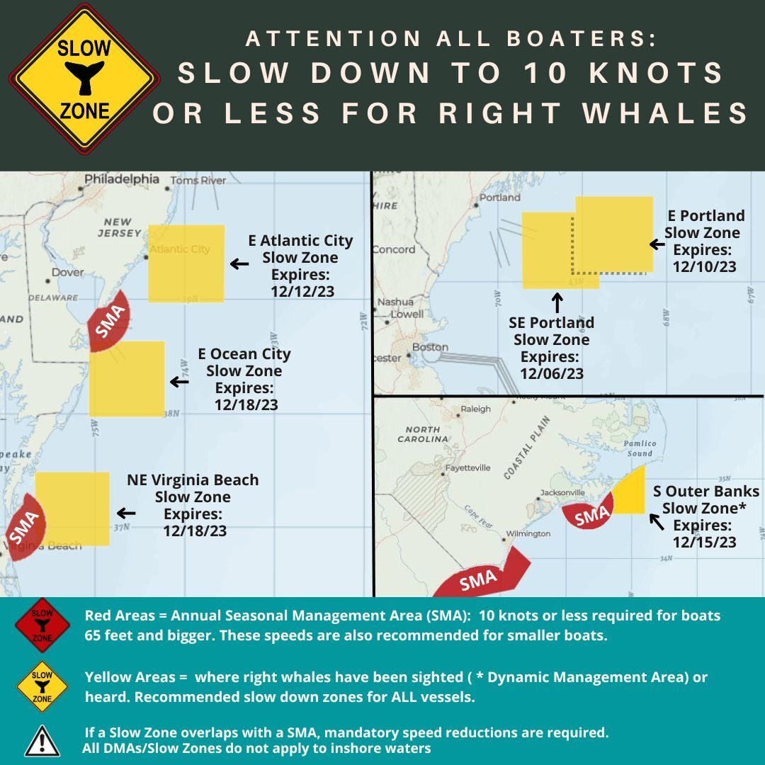 New Right Whale Slow Zone: Northeast of Virginia Beach, VA - Effective ...