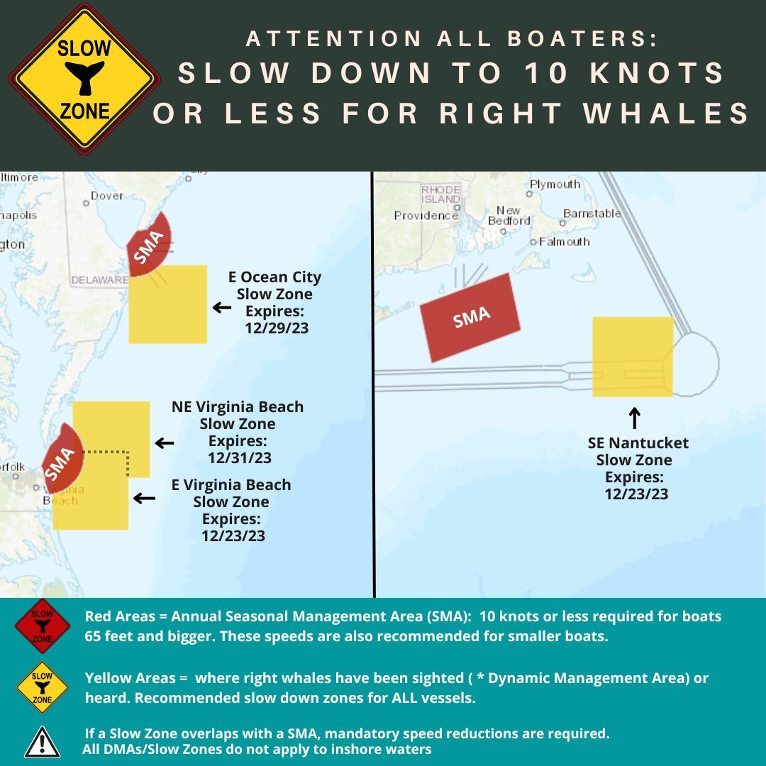 Extension of Right Whale Slow Zone: Northeast of Virginia Beach, VA ...
