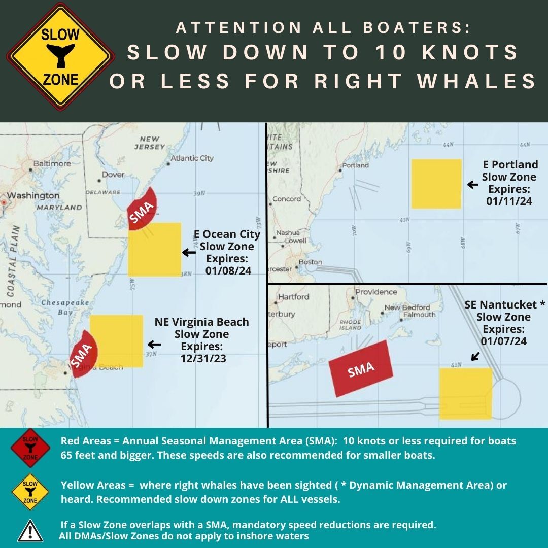 New Right Whale Slow Zone: East of Portland, ME - Effective Through 1/11