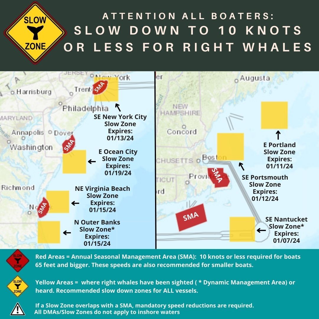 Extension of Right Whale Slow Zone East of Ocean City, MD - Effective ...