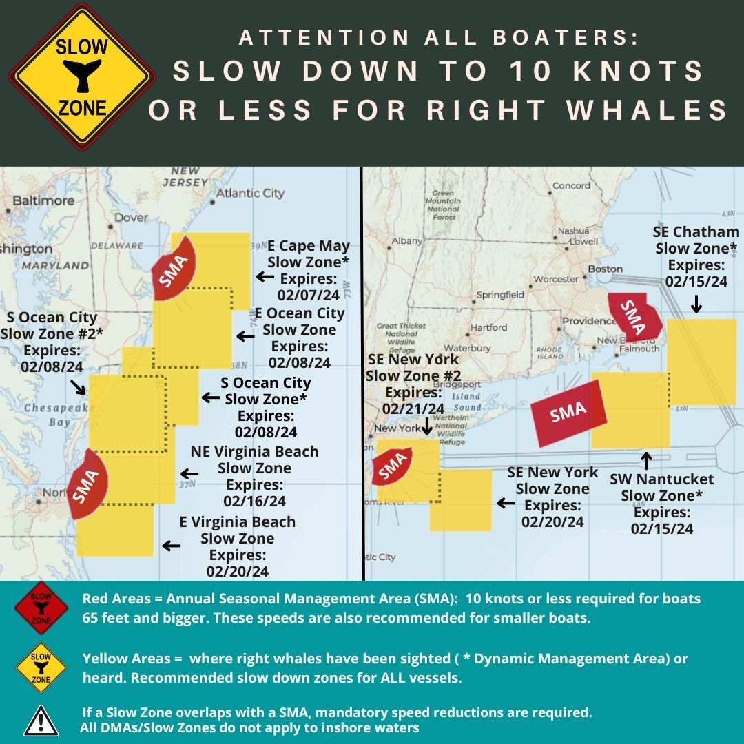 New Right Whale Slow Zone: SE of New York, NY - Effective Through 2/21