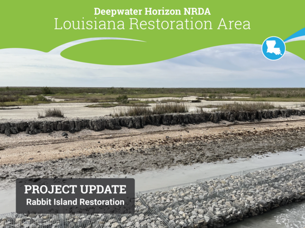 Shoreline Structure Protects Rabbit Island’s Bird Habitat and Creates ...