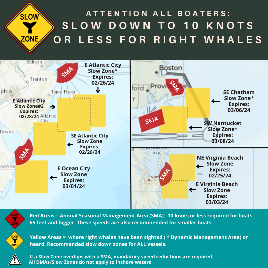 Right Whale Slow Zone Extension: SW Nantucket, MA - Effective Through 3/8