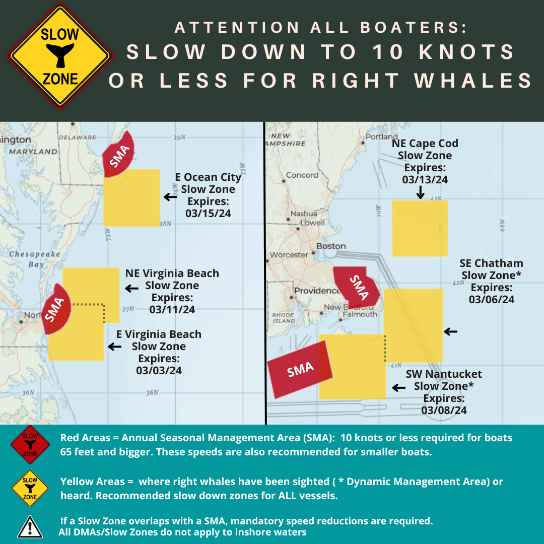Right Whale Slow Zone Extension: E Ocean City, MD - Effective Through 3/15