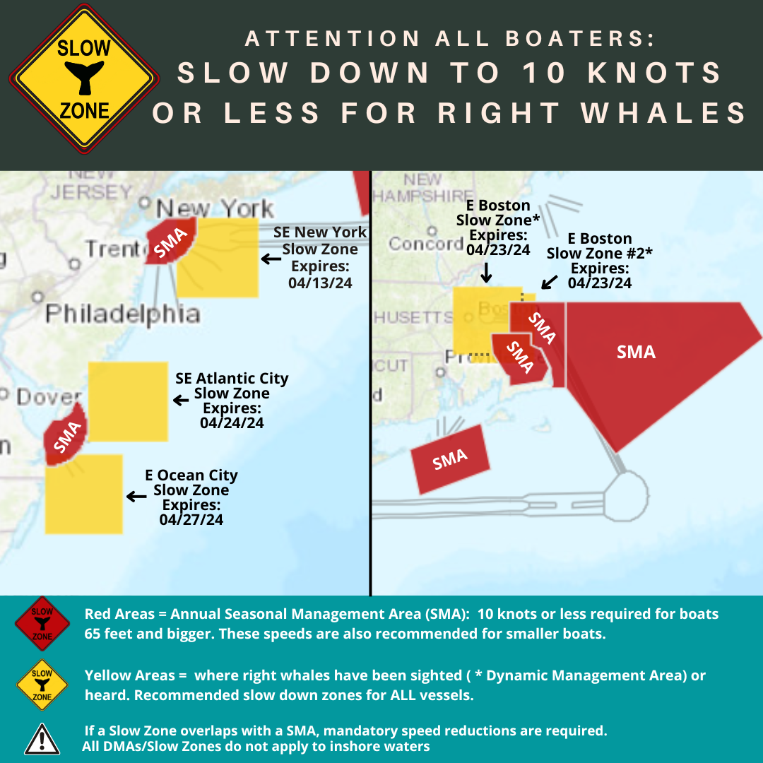 New Right Whale Slow Zone: E Ocean City, MD - Effective Through 4/27