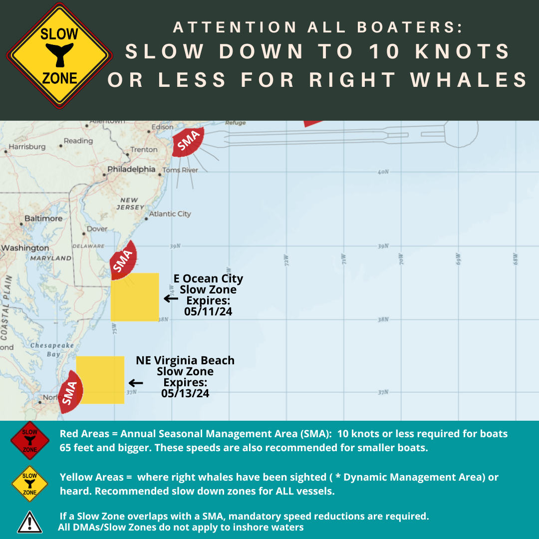 New Right Whale Slow Zone: NE Virginia Beach, VA - Effective Through 5/13