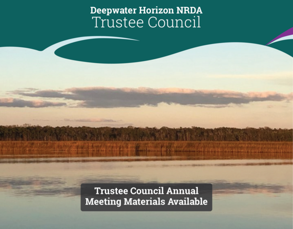 Information from 2024 Trustee Council Annual Meeting Webinar Now Available