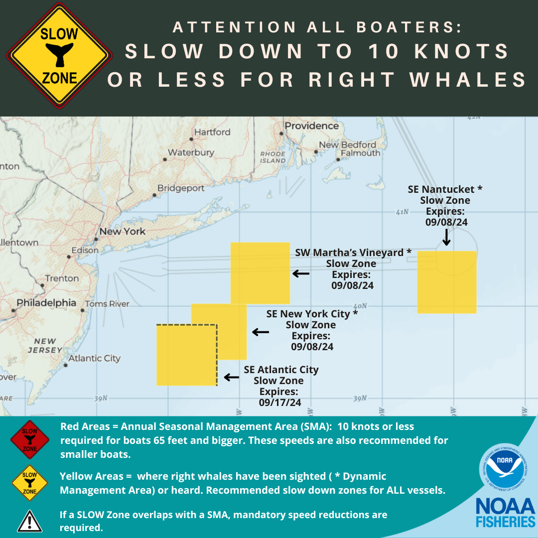 New Right Whale Slow Zone SE of Atlantic City, NJ - Effective Through 9/17