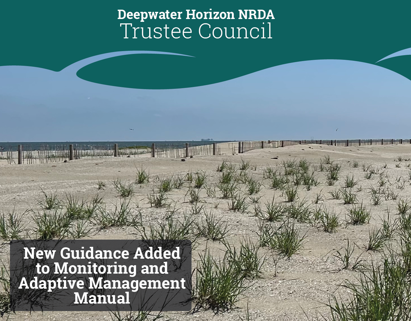 New Guidance Added to Monitoring and Adaptive Management Manual
