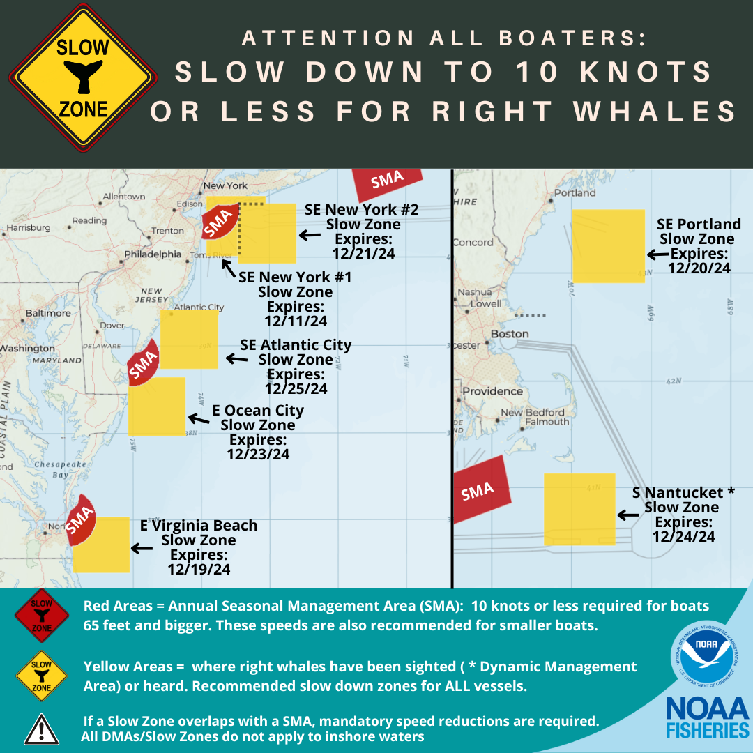 New Right Whale Slow Zone and Two Extensions: E of Ocean City, MD, S of ...