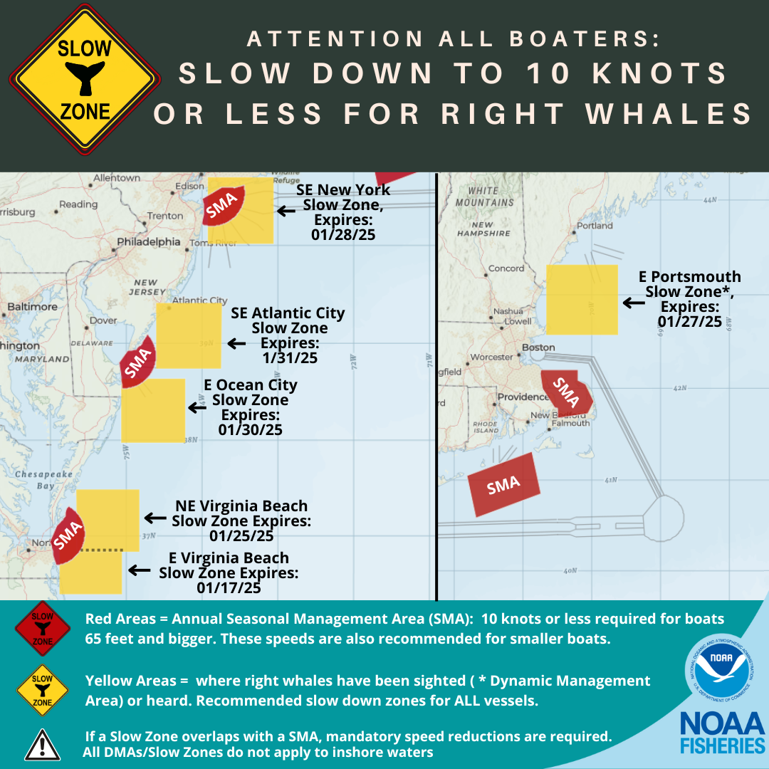 New Right Whale Slow Zone Extension: SE Atlantic City, NJ