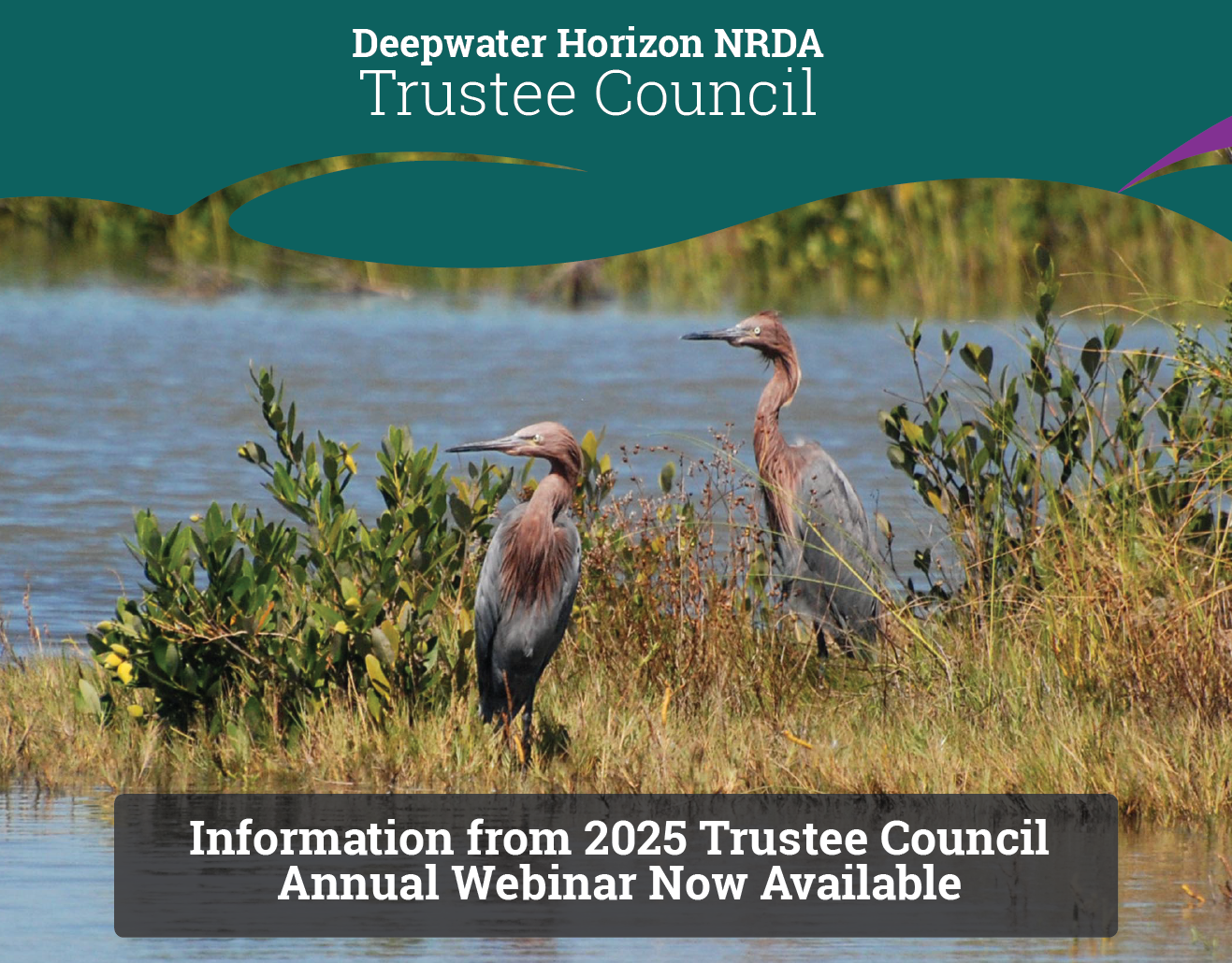 Information from 2025 Trustee Council Annual Public Meeting Webinar Now ...