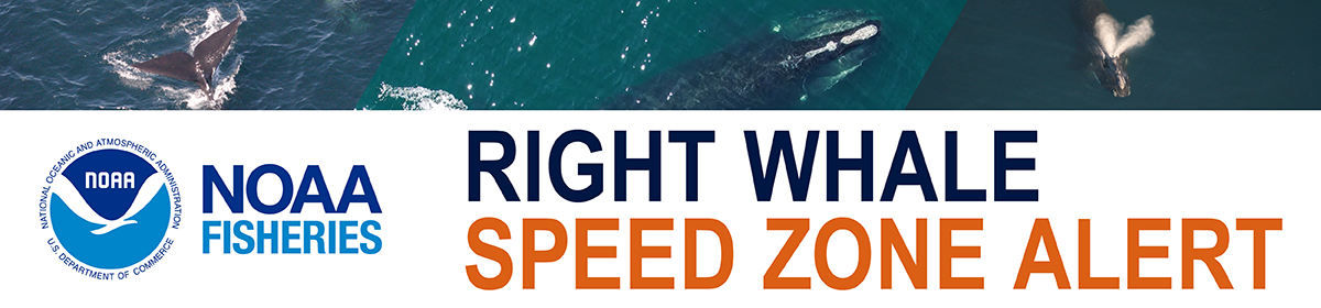 New Right Whale Slow Zone and Extension: Northeast of Virginia Beach ...