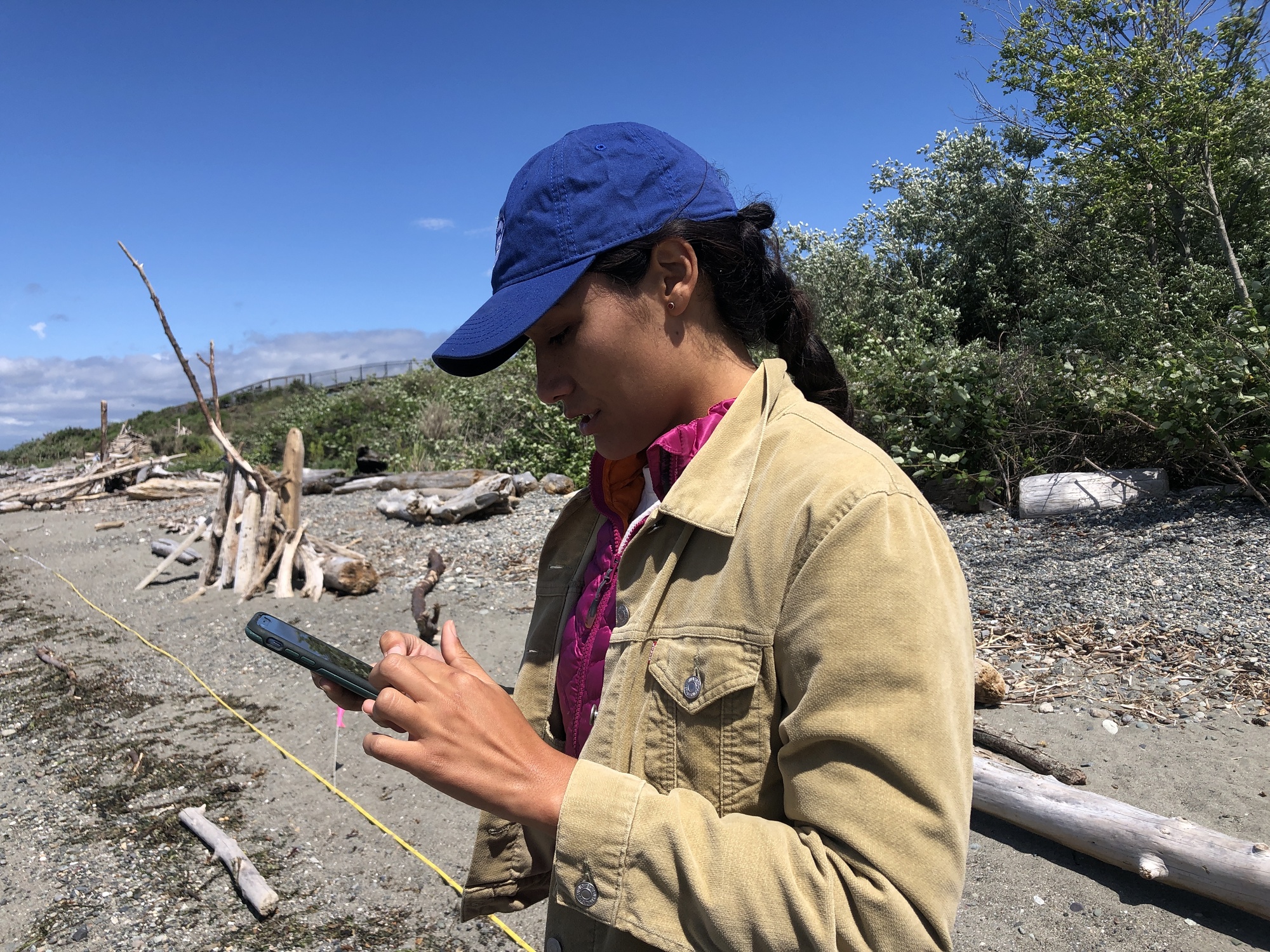 The Fall Wrack Line: NOAA MDMAP News