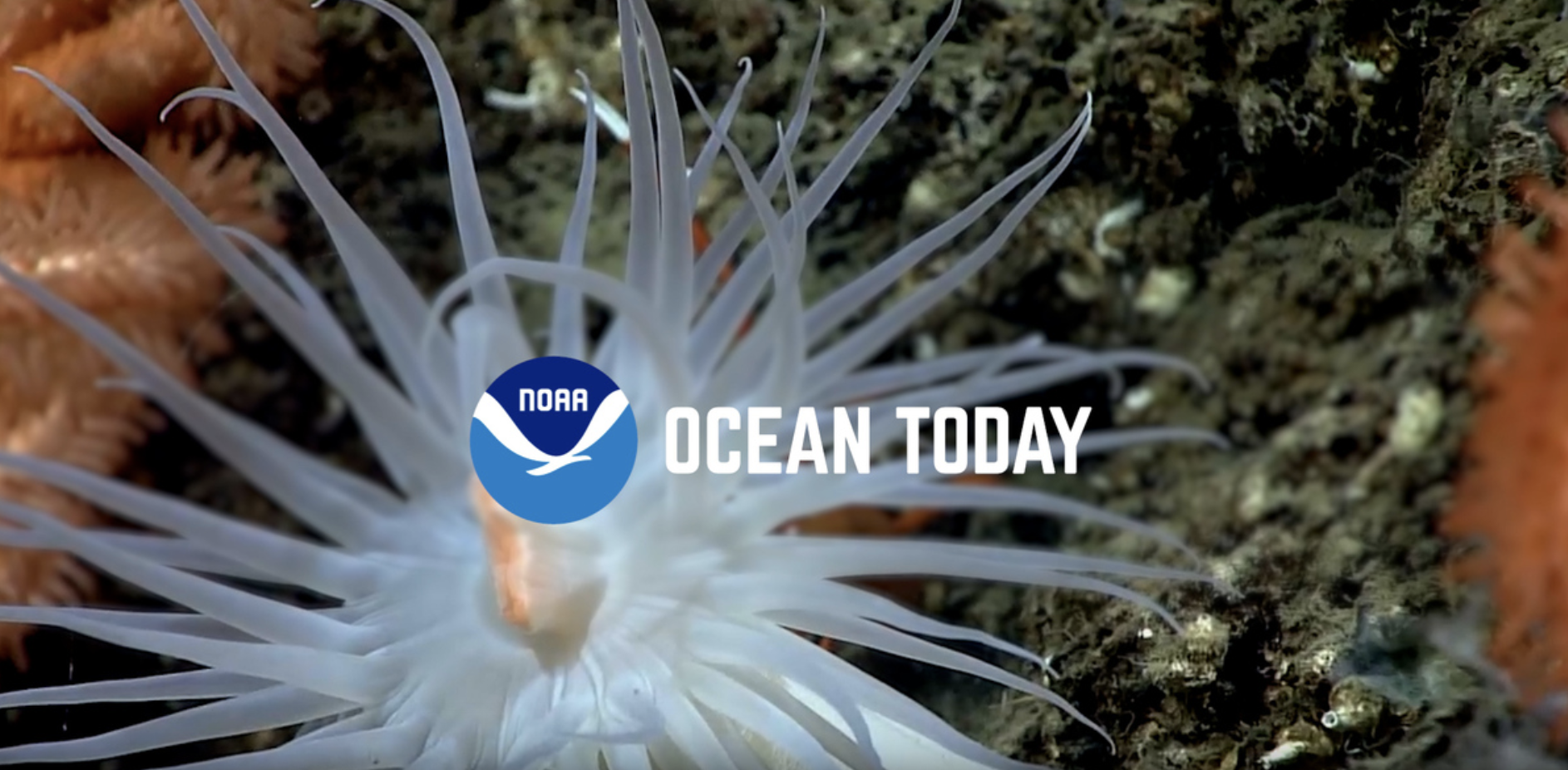 Join Ocean Today for a Journey into the Deep Sea and into our Past